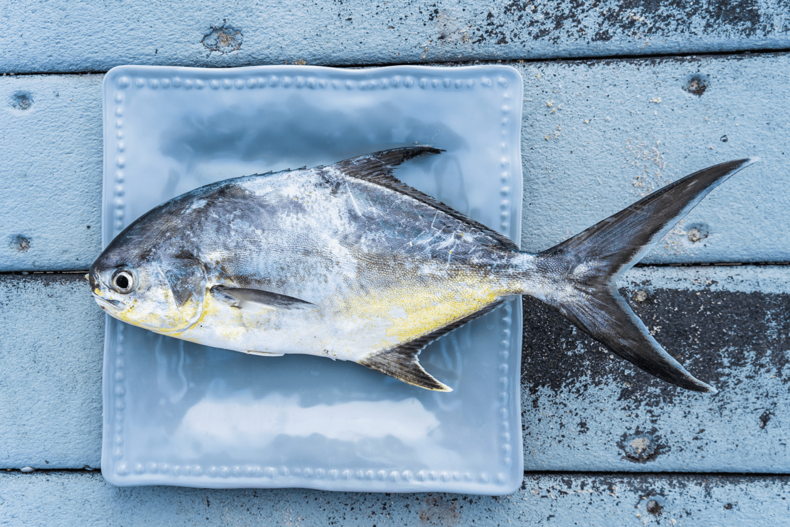 Ultimate Guide to Fishing for Pompano in Florida: Techniques, Baits ...